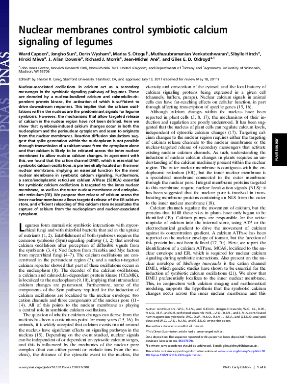(PDF) Nuclear membranes control symbiotic calcium signaling of legumes ...