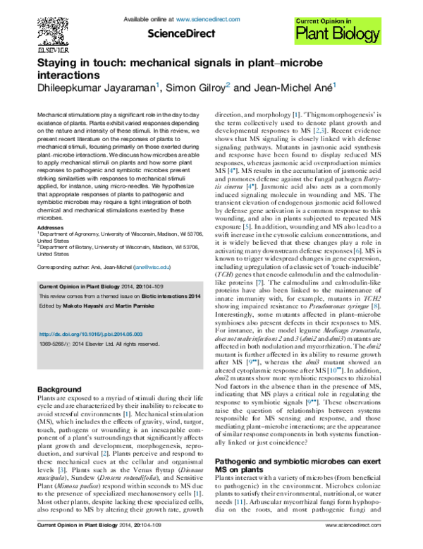(PDF) Staying in touch: mechanical signals in plant-microbe interactions