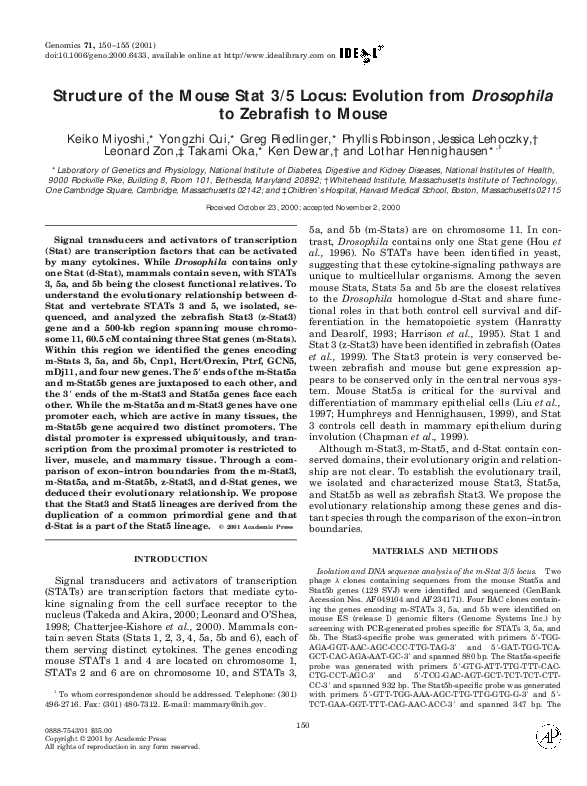 (PDF) Structure of the Mouse Stat 3/5 Locus: Evolution from Drosophila ...