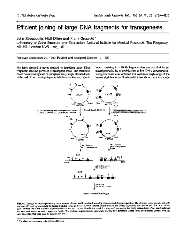 (PDF) Efficient joining of large DNA fragments for transgenesis