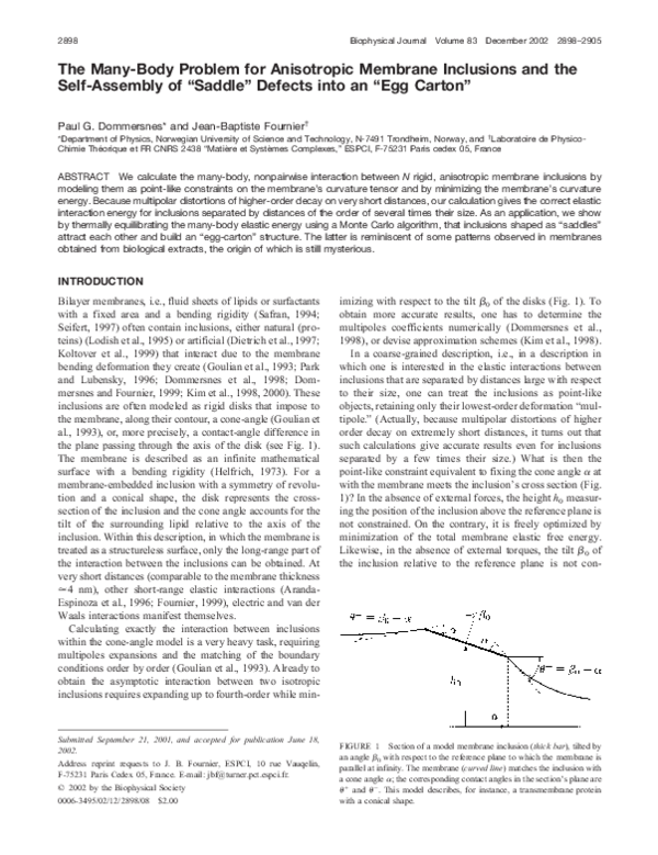 (PDF) The Many-Body Problem for Anisotropic Membrane Inclusions and the ...