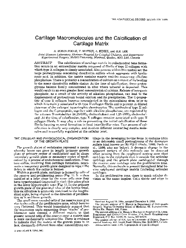 (PDF) Cartilage macromolecules and the calcification of cartilage matrix