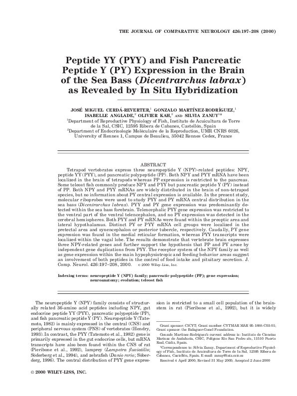 (PDF) Peptide YY (PYY) and fish pancreatic peptide Y (PY) expression in ...