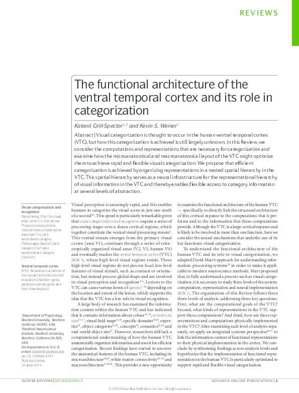 Pdf The Functional Architecture Of The Ventral Temporal Cortex And Its Role In Categorization