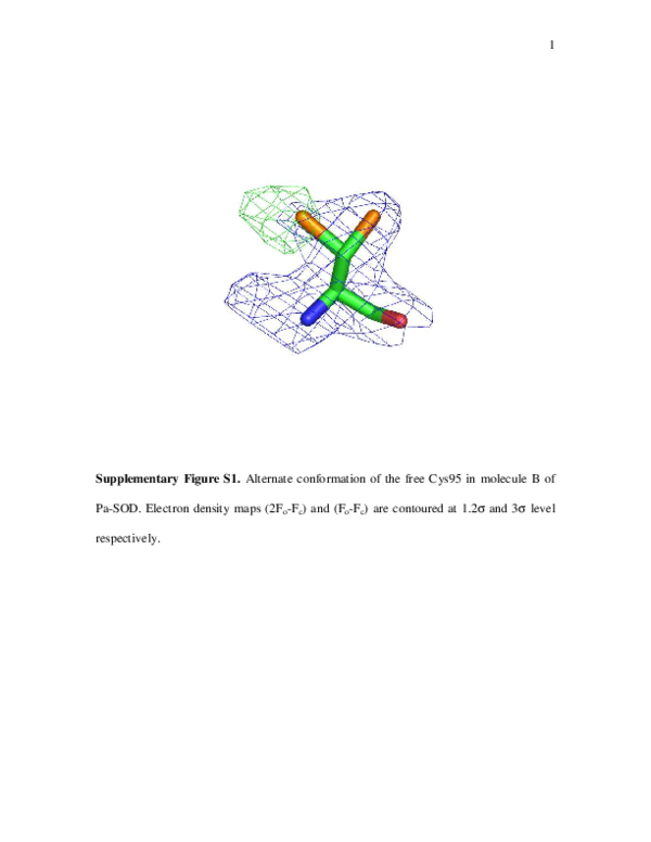 (PDF) Structure of a superoxide dismutase and implications for copper ...