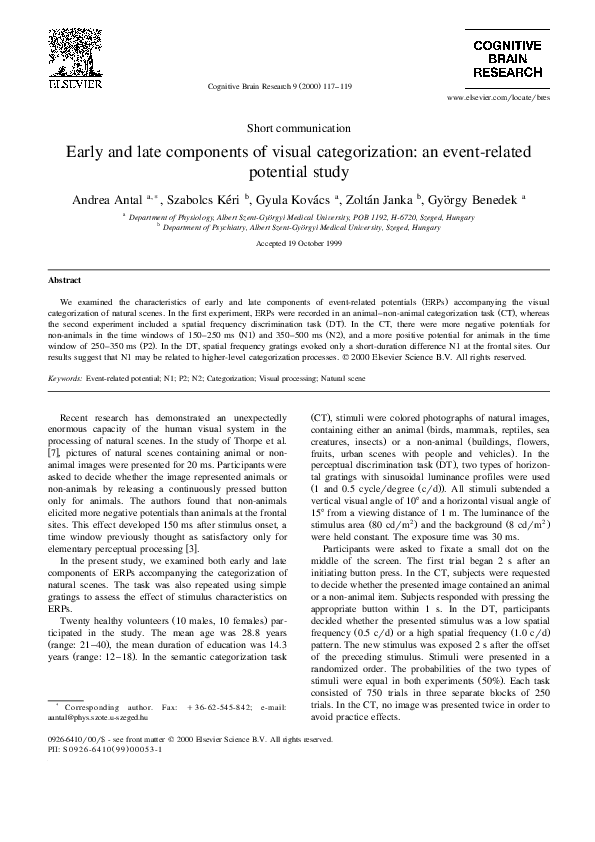 (PDF) Event-related potentials from a visual categorization task