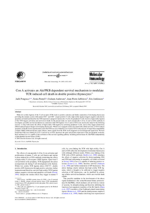 (PDF) Con A activates an Akt/PKB dependent survival mechanism to ...