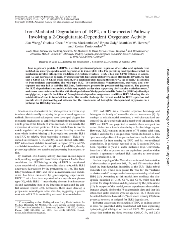 (PDF) Iron-Mediated Degradation of IRP2, an Unexpected Pathway ...
