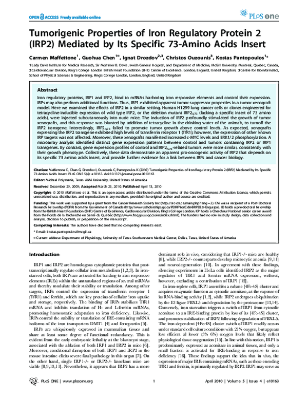 (PDF) Tumorigenic Properties of Iron Regulatory Protein 2 (IRP2 ...