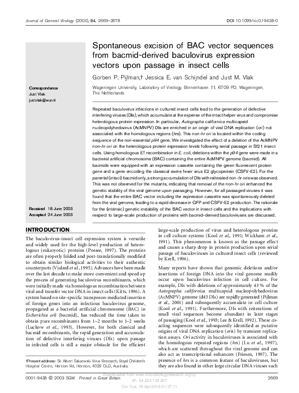 (PDF) Spontaneous excision of BAC vector sequences from bacmid-derived ...