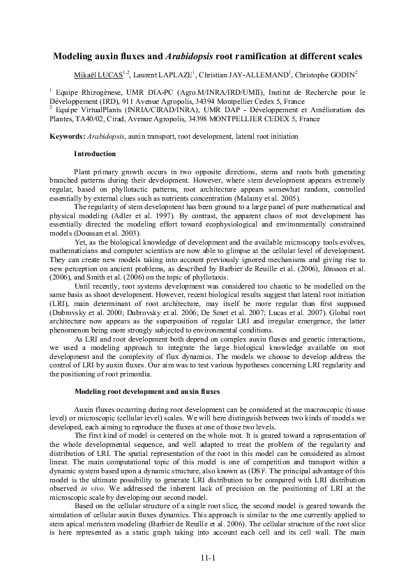 (PDF) Modeling Auxin Fluxes and Arabidopsis Root Ramification at ...