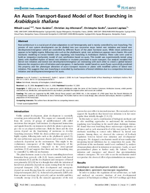 (PDF) An Auxin Transport-Based Model of Root Branching in Arabidopsis ...