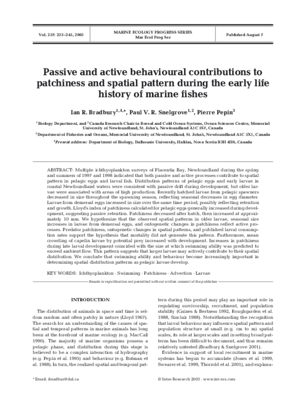 (PDF) Passive and active behavioural contributions to patchiness and ...