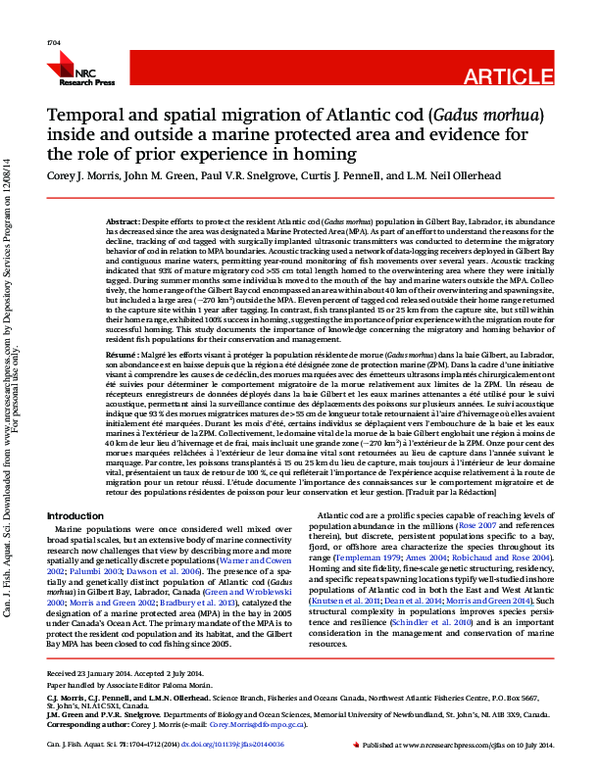 (PDF) Temporal and spatial migration of Atlantic cod ( Gadus morhua ...