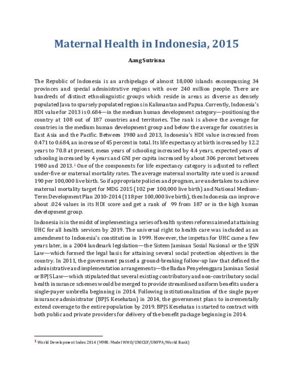(PDF) Maternal Health in Indonesia, 2015