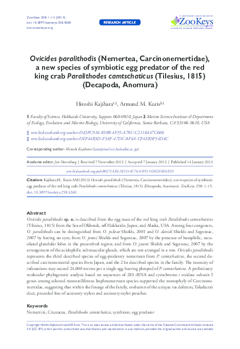 (PDF) Ovicides paralithodis (Nemertea, Carcinonemertidae), a new ...