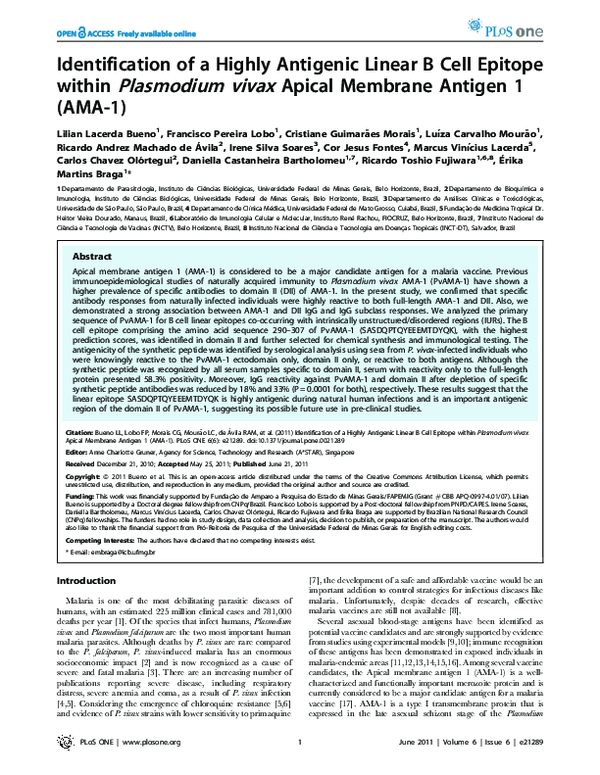 (PDF) Identification of a Highly Antigenic Linear B Cell Epitope within Plasmodium vivax Apical ...