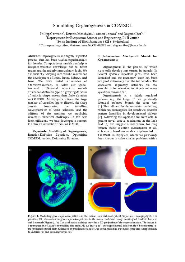 (PDF) Simulating Organogenesis in COMSOL
