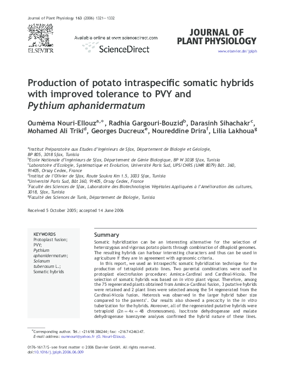 (PDF) Production of potato intraspecific somatic hybrids with improved ...