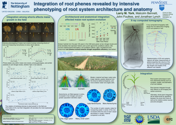 (PDF) Integration of root phenes revealed by intensive phenotyping of root system architecture ...