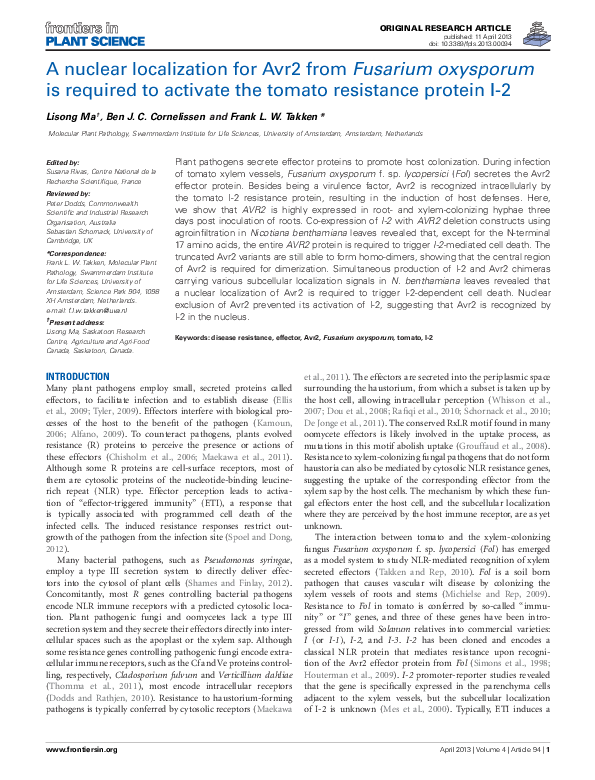 (PDF) A nuclear localization for Avr2 from Fusarium oxysporum is ...