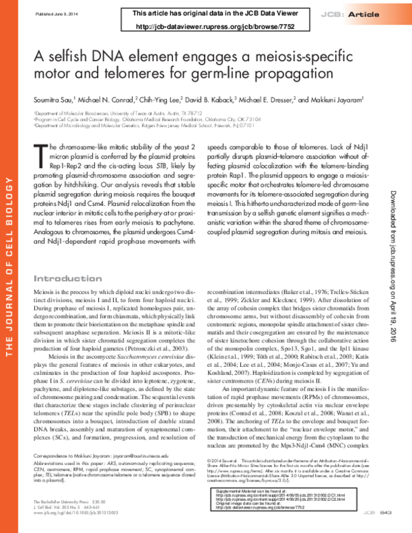 (PDF) A selfish DNA element engages a meiosis-specific motor and ...