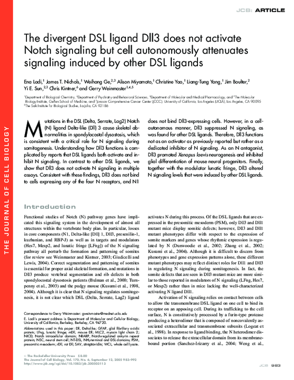 (PDF) The divergent DSL ligand Dll3 does not activate Notch signaling ...