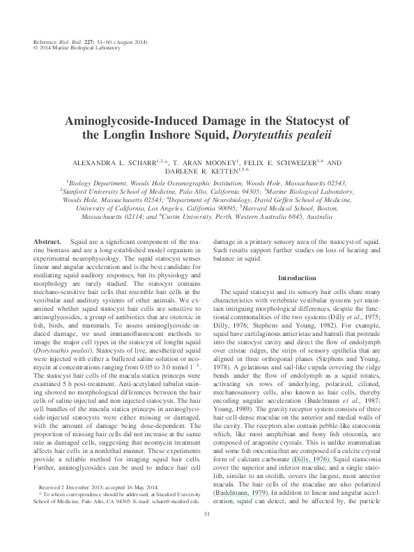 (PDF) Aminoglycoside-induced damage in the statocyst of the longfin ...
