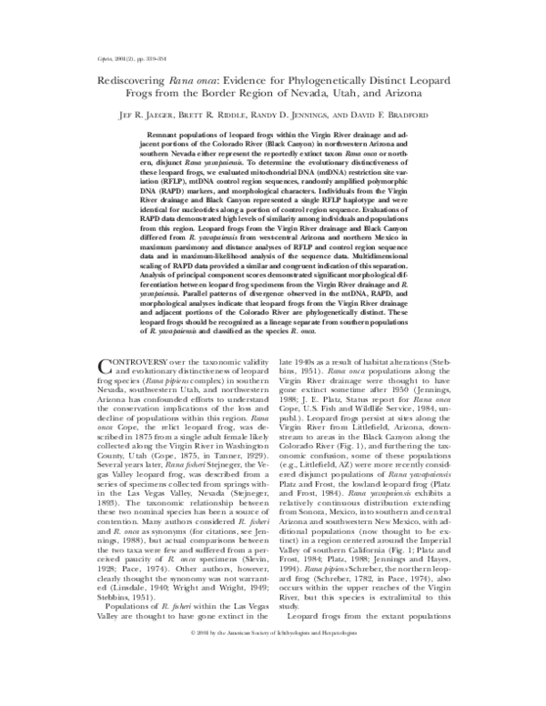 (PDF) Rediscovering Rana onca : Evidence for Phylogenetically Distinct ...