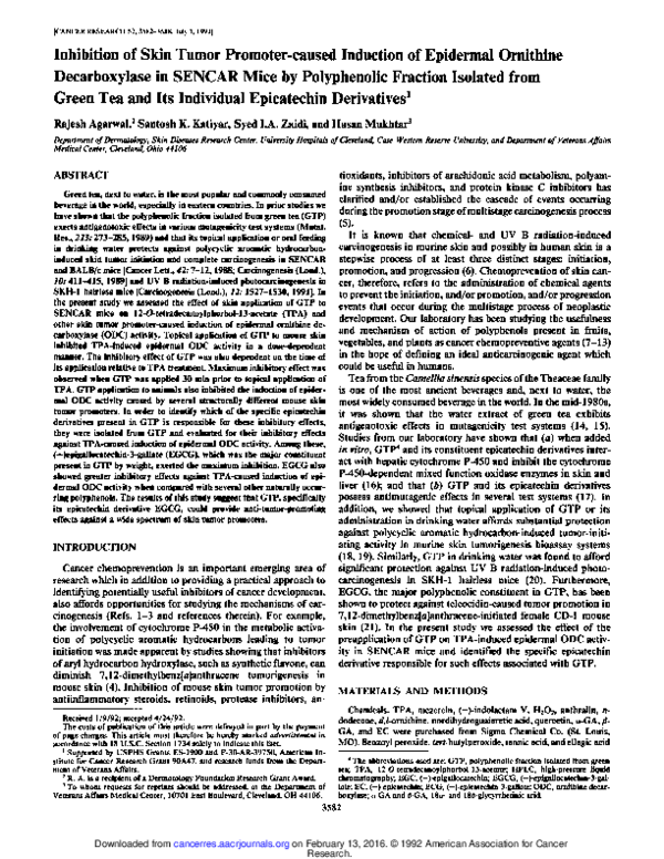 (PDF) Inhibition of skin tumor promoter-caused induction of epidermal ...