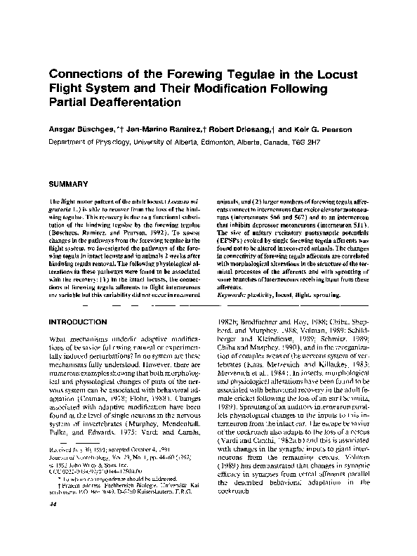 (PDF) Connections of the forewing tegulae in the locust flight system ...