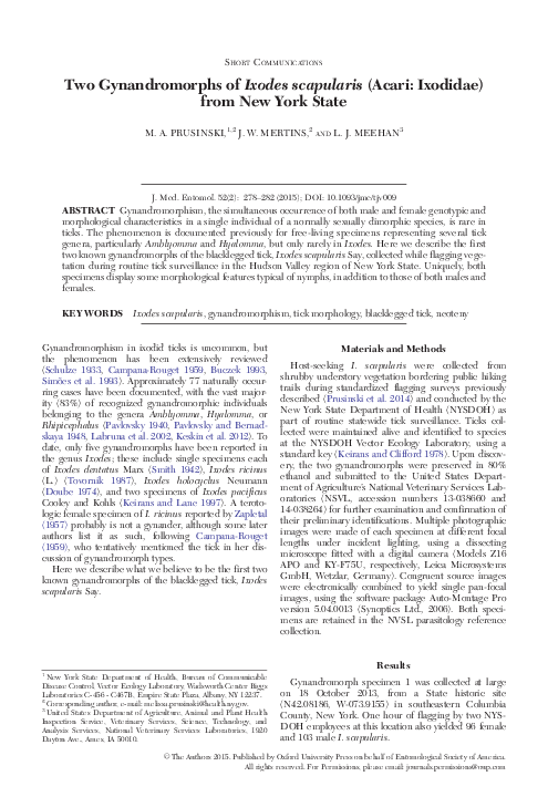 (PDF) Two Gynandromorphs of Ixodes scapularis (Acari: Ixodidae) from New York State