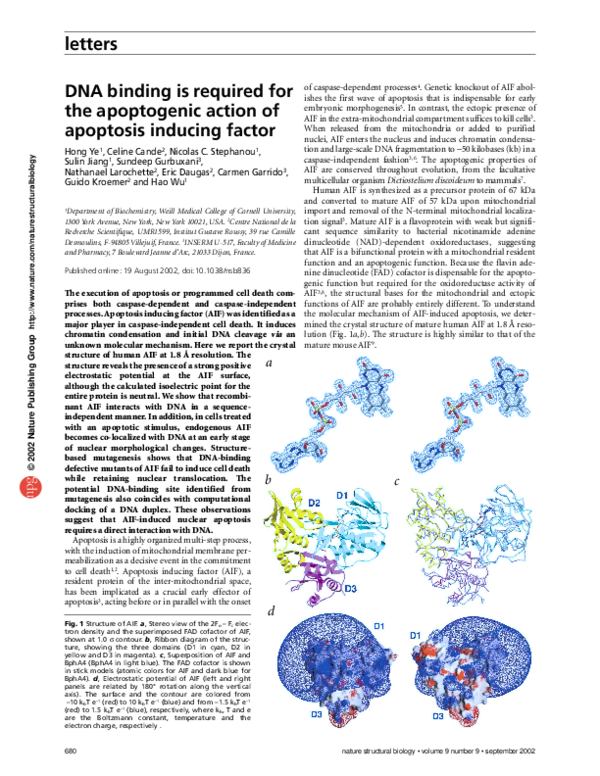 (PDF) DNA binding is required for the apoptogenic action of apoptosis ...