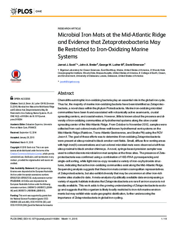 (PDF) Microbial Iron Mats at the Mid-Atlantic Ridge and Evidence that ...