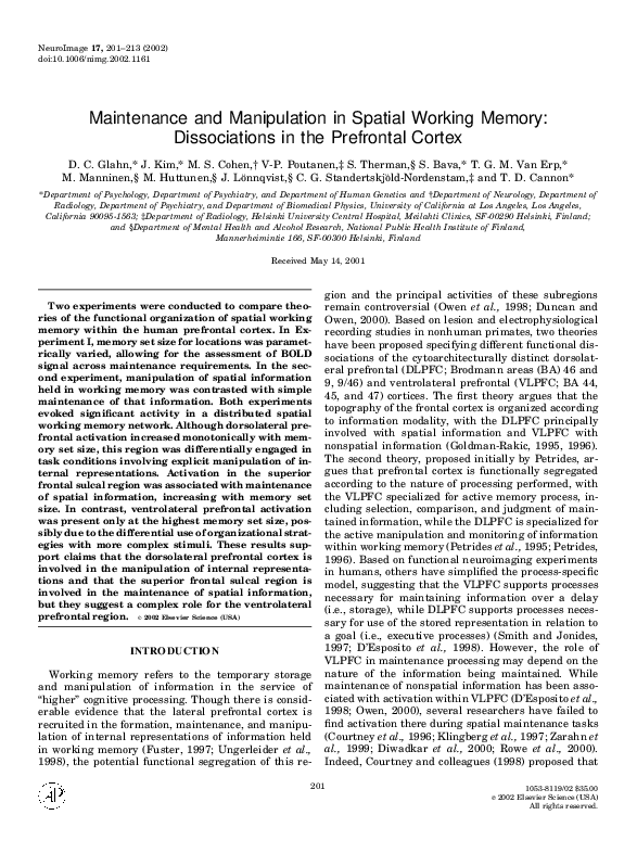 Pdf Maintenance And Manipulation In Spatial Working Memory Dissociations In The Prefrontal Cortex