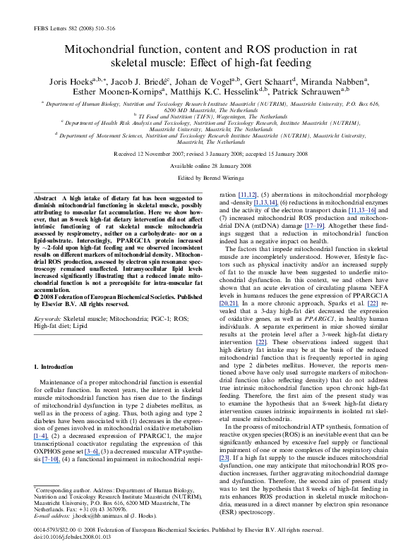 (PDF) Mitochondrial function, content and ROS production in rat ...