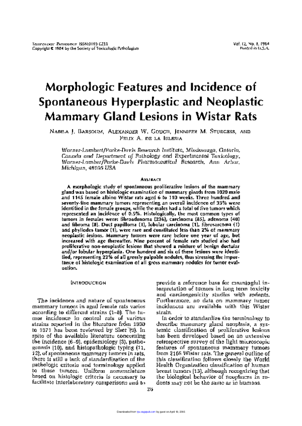 (PDF) Morphologic Features and Incidence of Spontaneous Hyperplastic ...