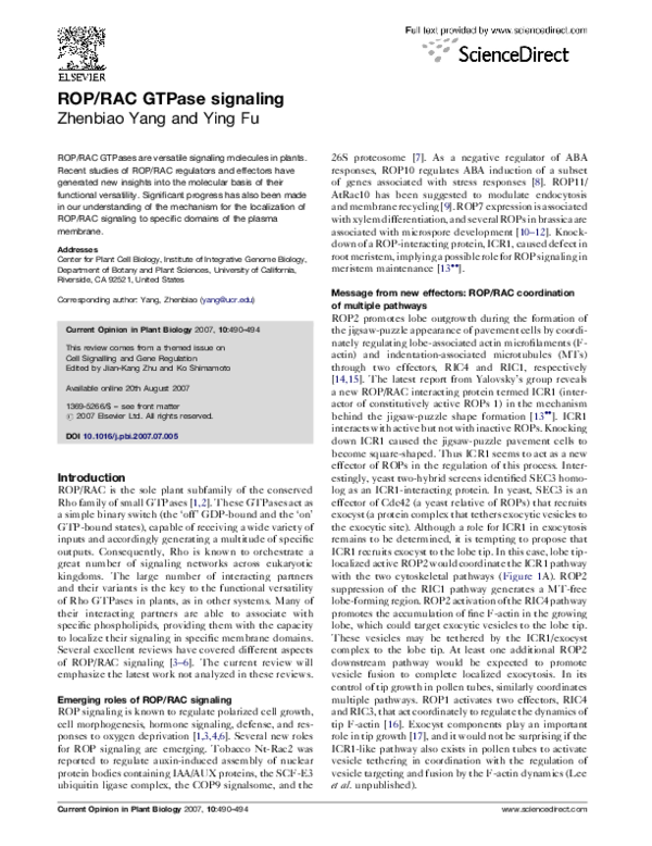 (PDF) ROP/RAC GTPase signaling