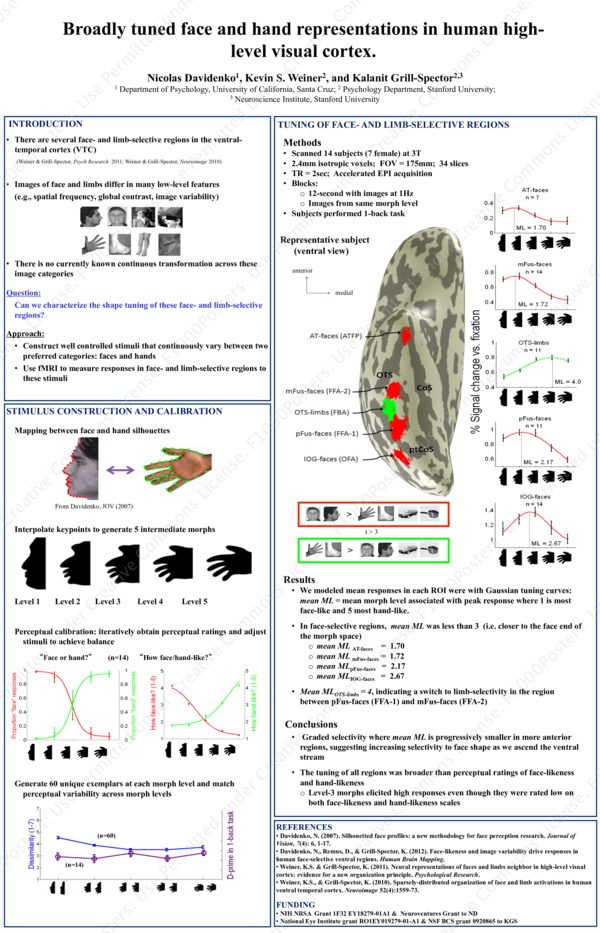 (PDF) Broadly tuned face and hand representations in human high-level visual cortex
