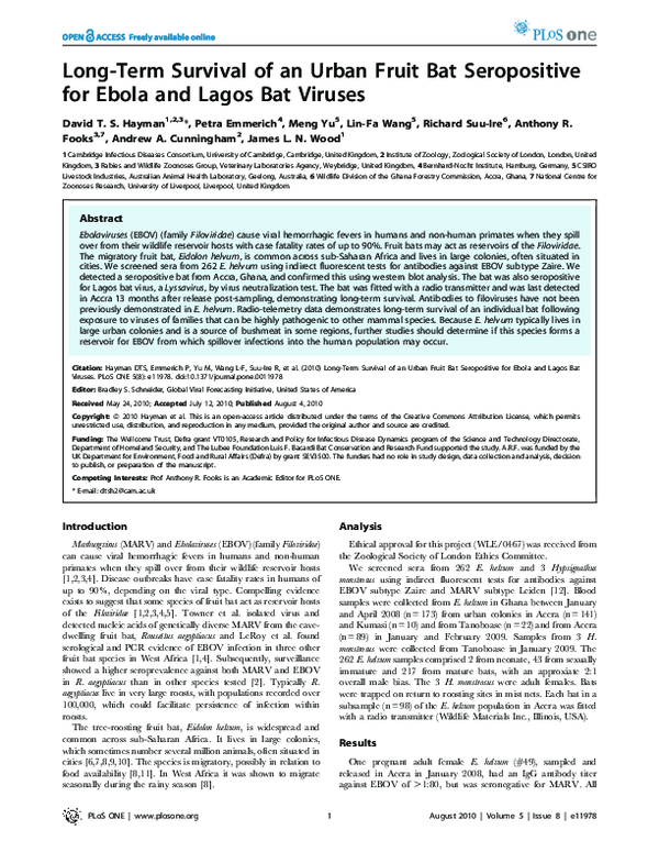 (PDF) Long-Term Survival of an Urban Fruit Bat Seropositive for Ebola ...