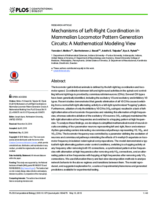 (PDF) Mechanisms of Left-Right Coordination in Mammalian Locomotor ...