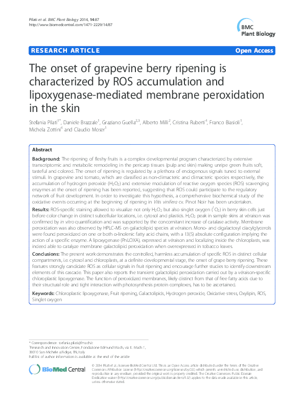 (PDF) The onset of grapevine berry ripening is characterized by ROS ...