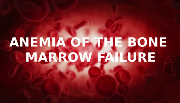 (PPT) Anemia of Bone Marrow Failure and systemic disorders final