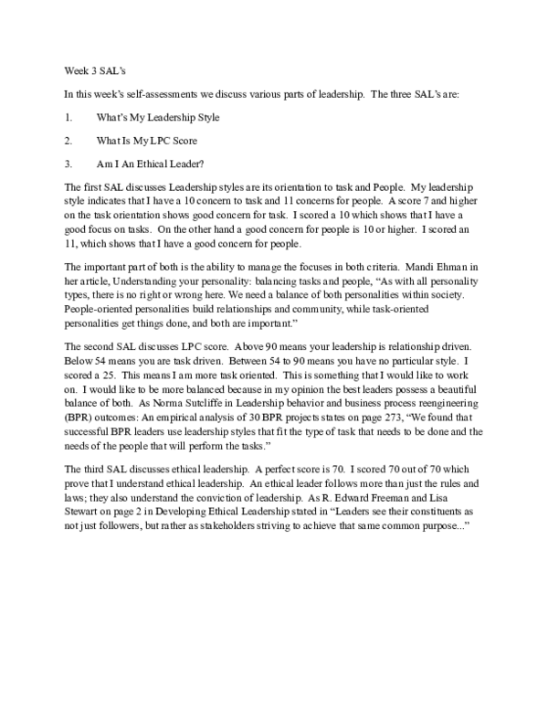 (DOC) A sample write up