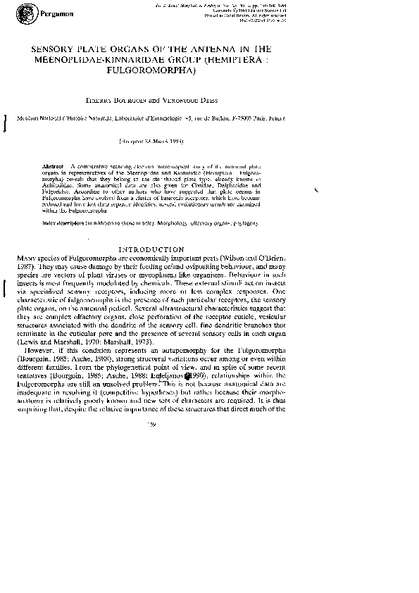 (PDF) Sensory plate organs of the antenna in the Meenoplidae-Kinnaridae ...