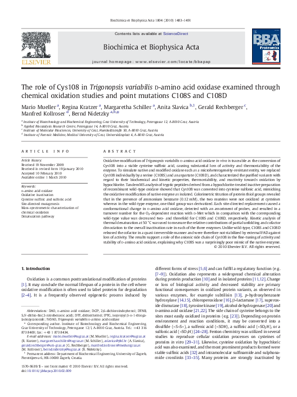 (PDF) The role of Cys108 in Trigonopsis variabilis d-amino acid oxidase ...