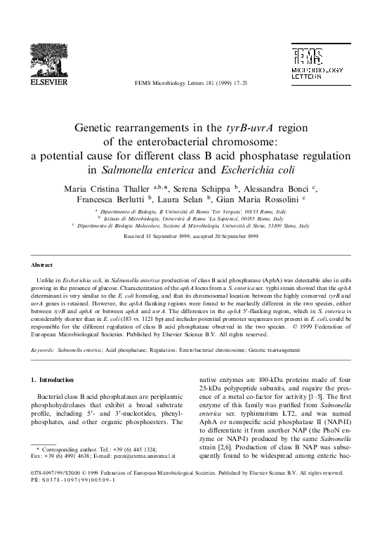 (PDF) Genetic rearrangements in the tyrB - uvrA region of the ...