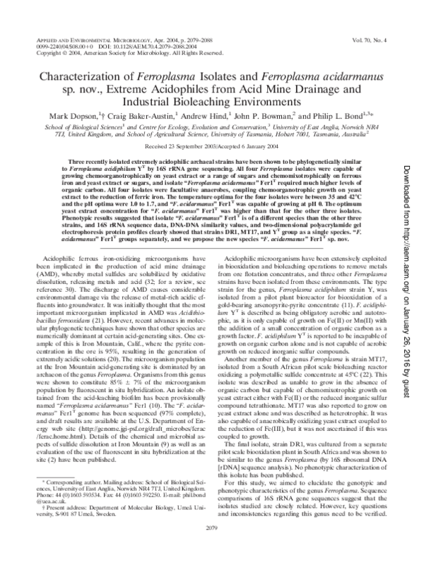 (PDF) Characterization of Ferroplasma Isolates and Ferroplasma ...