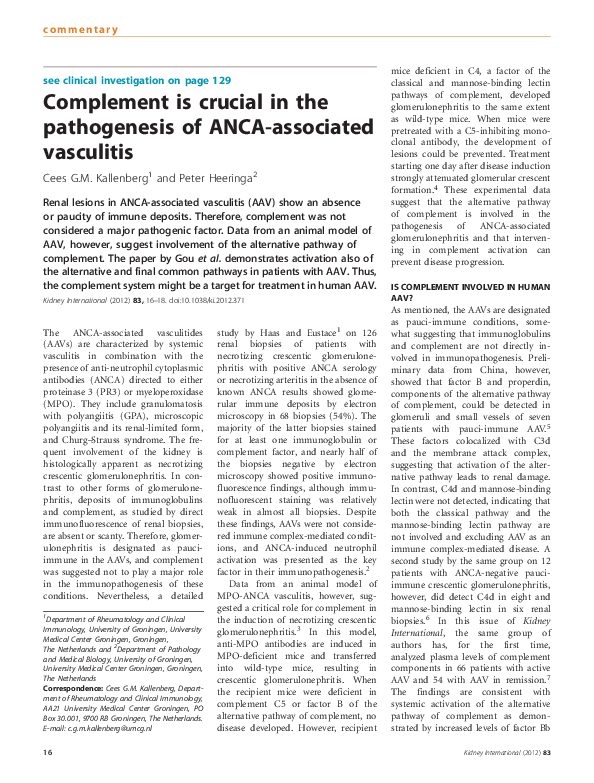 (PDF) Complement is crucial in the pathogenesis of ANCA-associated ...