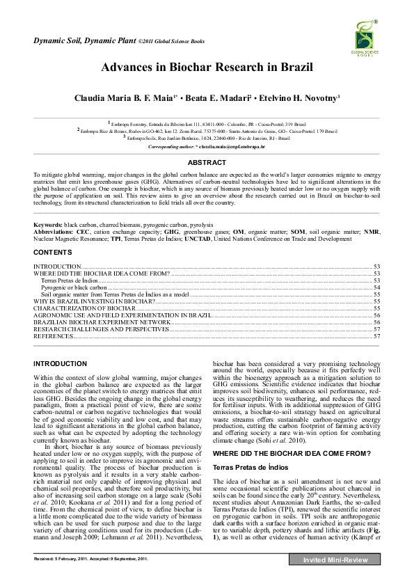 (PDF) Advances in Biochar Research in Brazil